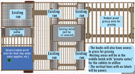 Raising Meat Rabbits Colony Vs Hutch Grow Where You Sow