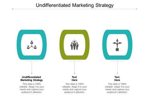 Undifferentiated Marketing Strategy Ppt Powerpoint Presentation Ideas Brochure Cpb