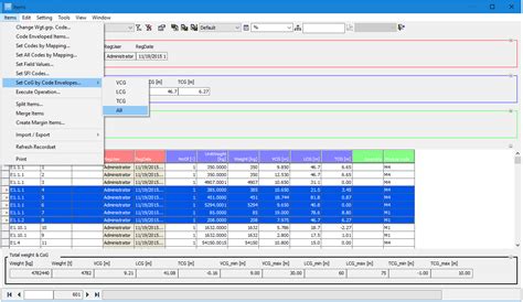 Masstrack Basics The Item Window Entering Weight Information Set