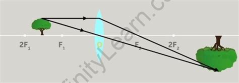 Convex Lens Image Properties Part 1 Infinity Learn By Sri Chaitanya