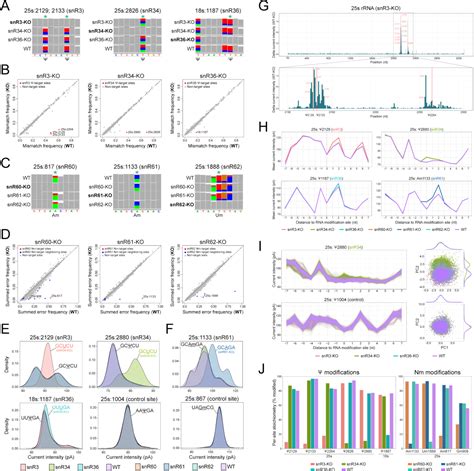 Figure 3 From Quantitative Profiling Of Native Rna Modifications And Their Dynamics Using