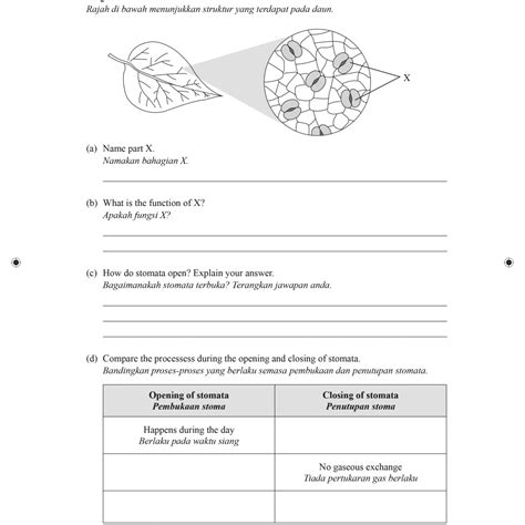 Enhanced Edition Dual Language Programme Activity Book Science Form 3 Sap Publications Malaysia
