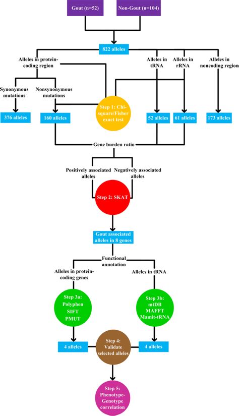 schematic representation of the next generation sequencing data