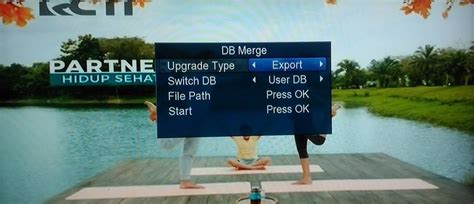 Backup Load Export And Inport Database User Db Default Db