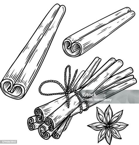 인그레이빙 스타일로 계피의 일러스트 엠블럼 사인 포스터 카드 배너 전단지를 위한 디자인 요소 벡터 일러스트레이션 계피에 대한 스톡 벡터 아트 및 기타 이미지 Istock