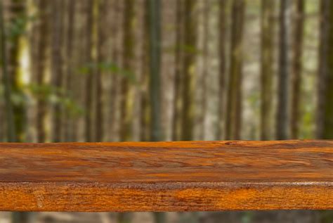 수분이 우거진 숲의 배경에 오래된 나무 보드 흐린 나무 줄기의 배경에 선명도보드의 표면 디자인모형 제품 광고를 위한 공간을 복사합니다 0명에 대한 스톡 사진 및 기타 이미지