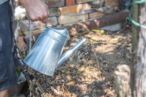 Cold Composting Step By Step Guide