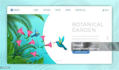 식물원 방문 페이지 템플릿입니다 이국적인 희귀 한 동식물 종 야생 자연에서 열대 벌새를 관찰 여름철 관광 명소 웹사이트 페이지 디자인 레이아웃 벌새에 대한 스톡 벡터 아트