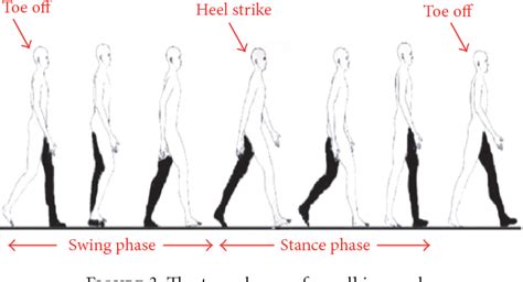 Figure 1 From Pedestrian Stride Length Estimation From Imu Measurements And Ann Based Algorithm