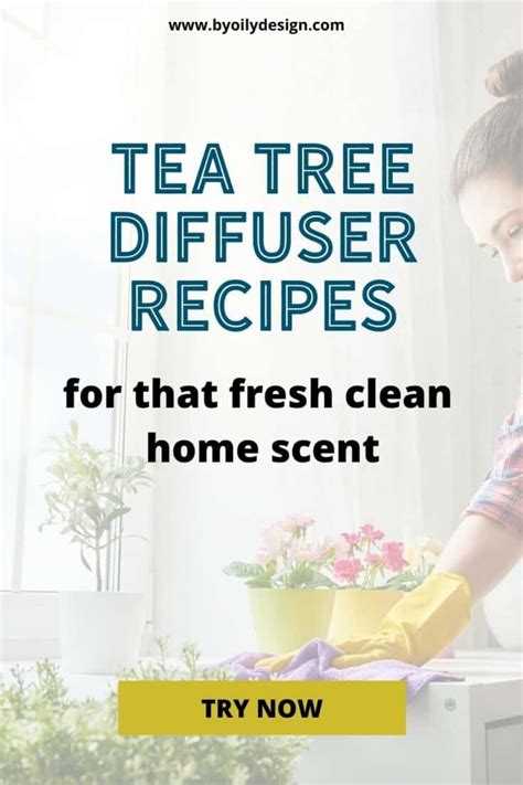 Tea Tree Oil Diffuser Recipes 10 Useful Diffuser Blends For Your