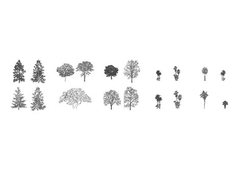 Ultimate Tree Collection Svg Files For Architectural Plans And Sections