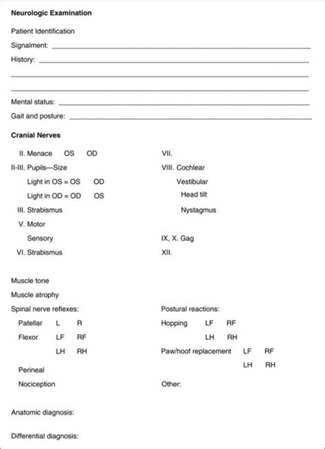 The Neurologic Examination Veterian Key