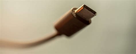 Raspberry Pi 6 Lanzamiento Especificaciones Y Rumores Raspberrytips