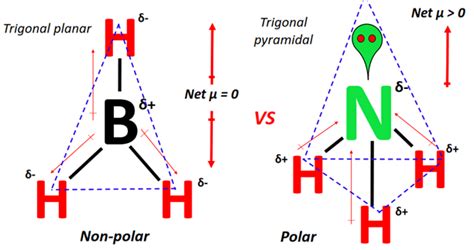 Is Bh3 Polar Or Nonpolar Polarity Of Borane