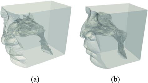 Polygon Models Used In Cfd Simulations A Mild Case No 3 Ahi