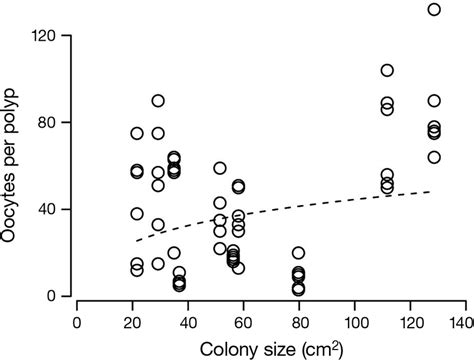 Per Polyp Fecundity In Plesiastrea Versipora As A Function Of Mature Download Scientific