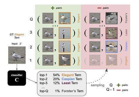 Pcnn Probable Class Nearest Neighbor Explanations Improve Fine Grained Image Classification