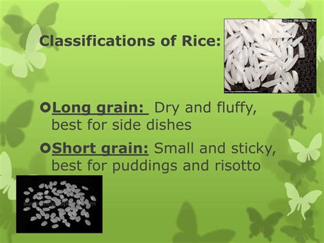Levels Of Classification Rice At Charles Grose Blog