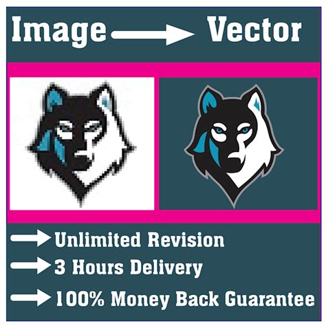 Convert Your Image To Vector Trace Vectorize Tracing Hrs By Alif Fiverr