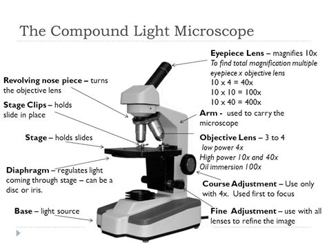 Four Compound Light Microscope With Objectives