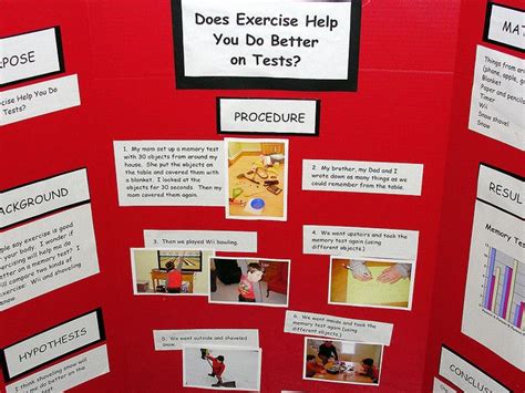 16 Best Hypothesis Project Examples Images On Pinterest Science Experiments Babe Projects
