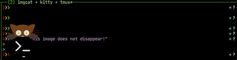 Imagesgraphics Are Not Cleared Up Inside Tmux · Issue 2457 · Kovidgoyalkitty · Github