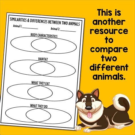 Toys Toys And Games Learning And School Classifying Animals Research