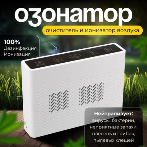 Озонатор воздуха для избавления от запахов плесени ионизатор очиститель воздуха для