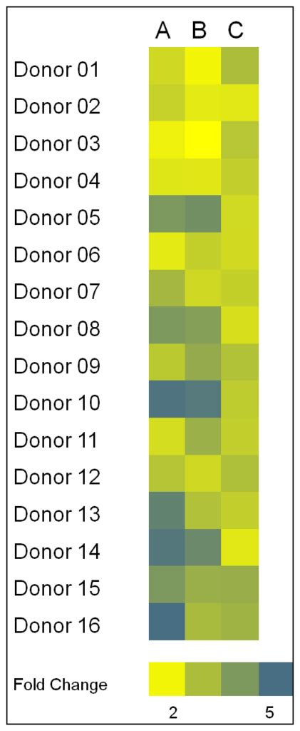 Fluorescent Cell Barcoding Using Flow Cytometry For High Throughput Testing Flow Contract Site