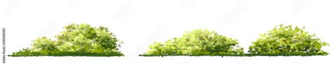 Vector Watercolor Of Grass Side View Isolated On White Background For