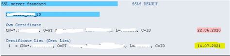 Solved Validity Of Certificate With PSE Type SAP Community
