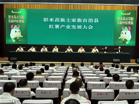 有底子更要有面子 彭水县将打造中国苕粉之都 华龙网
