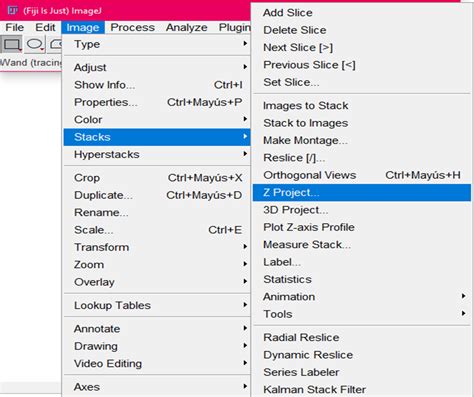 Github Anaacayuelasynapsemeasures This Imagejfiji Plugin Was