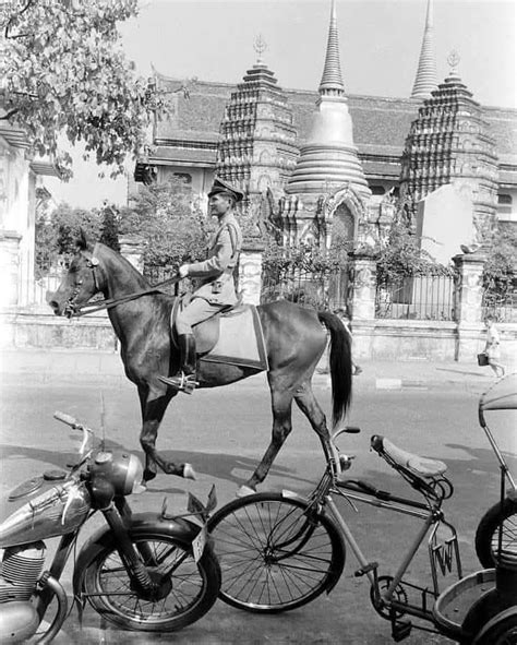 เรารัก ตำรวจม้า แห่งกรุงเทพฯ มีต้นกำเนิดตั้งแต่ปี พ ศ ๒๔๙๖ โดย พล ต อ เผ่า ศรียานนท์ ทำ