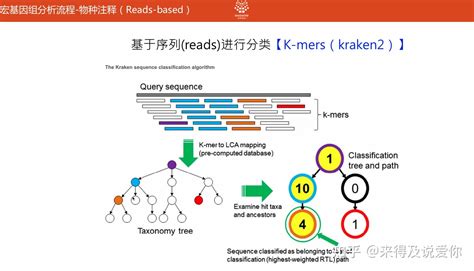 宏基因组分析流程实操理论 知乎