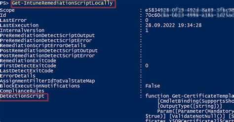 Is It Safe To Place Sensitive Information Into Intune Scripts