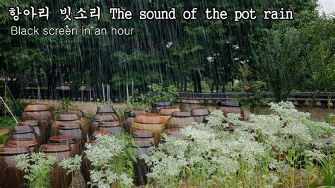항아리에 떨어지는 빗소리 1시간 후 검은화면 장독대 수면유도 좋은소리 마음의 소리 Youtube