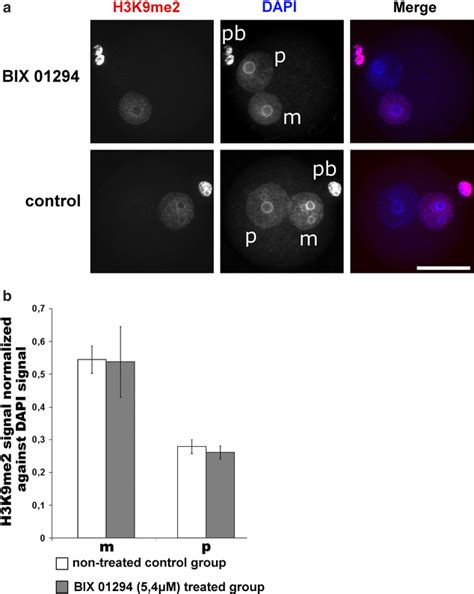 Influence Of G9a Specific Inhibitor Bix 01294 On H3k9me2 In Mouse