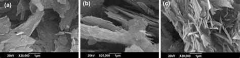 SEM Of A Sample A B Sample B And C Sample C Download Scientific Diagram