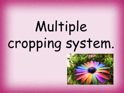 Multiple Cropping Systems Pptx Agriculture Industries