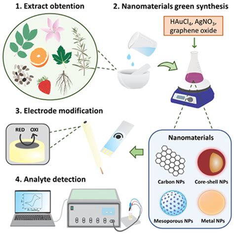 Low Cost Plant Based Metal And Metal Oxide Nanoparticle Synthesis And Their Use In Optical And