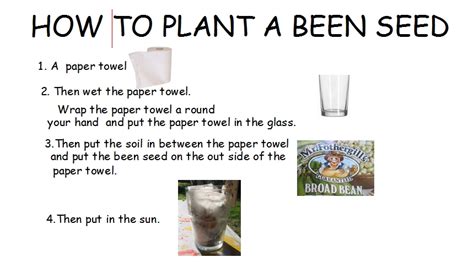 Different Types Of Procedural Texts Procedural Texts