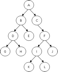 Solved Consider The Following Tree And Answer The Questions Chegg Com