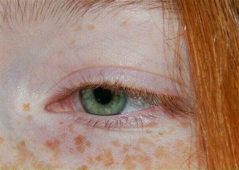 { แคทเธอรีน เลน่า เอฟเวนส์ }