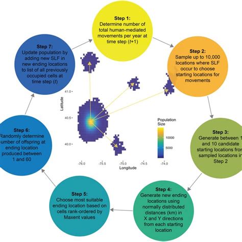 generalized description of the algorithm used to simulate the