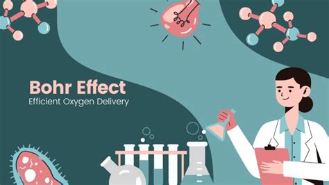 bohr effect key to efficient oxygen delivery