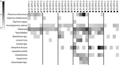 Shade Plot Of Taxa Abundances In The 5 Replicates Of The 6 Treatments