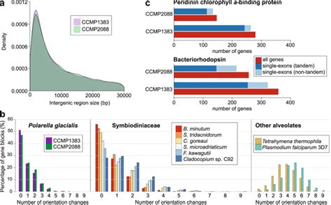 Intergenic Regions And Tandemly Repeated Genes A Distribution Of The Download Scientific