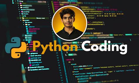 Be Your Professional Python Coder Or Do Python Scraping And Automation