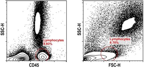 The Significance Of Setting Gates For Cd45 And Ssc In Immune Cell Typing